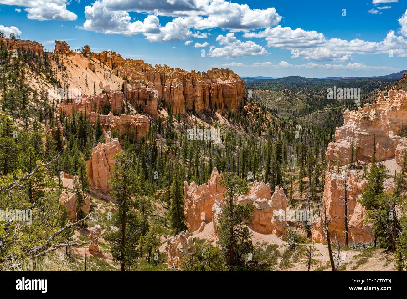 Bryce Canyon National Park, Utah Stock Photo - Alamy
