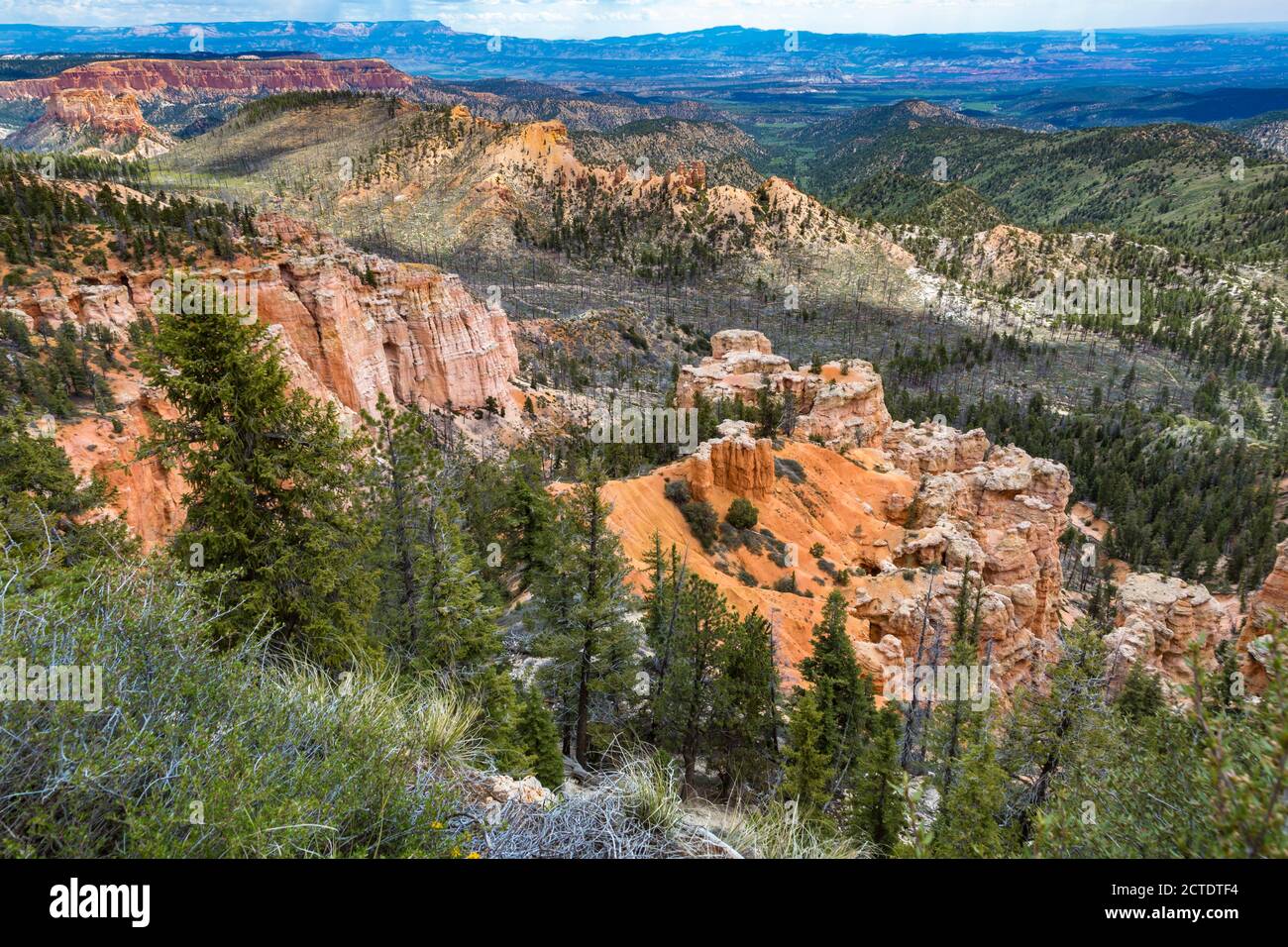 Overlook in Bryce Canyon National Park, Utah Stock Photo - Alamy