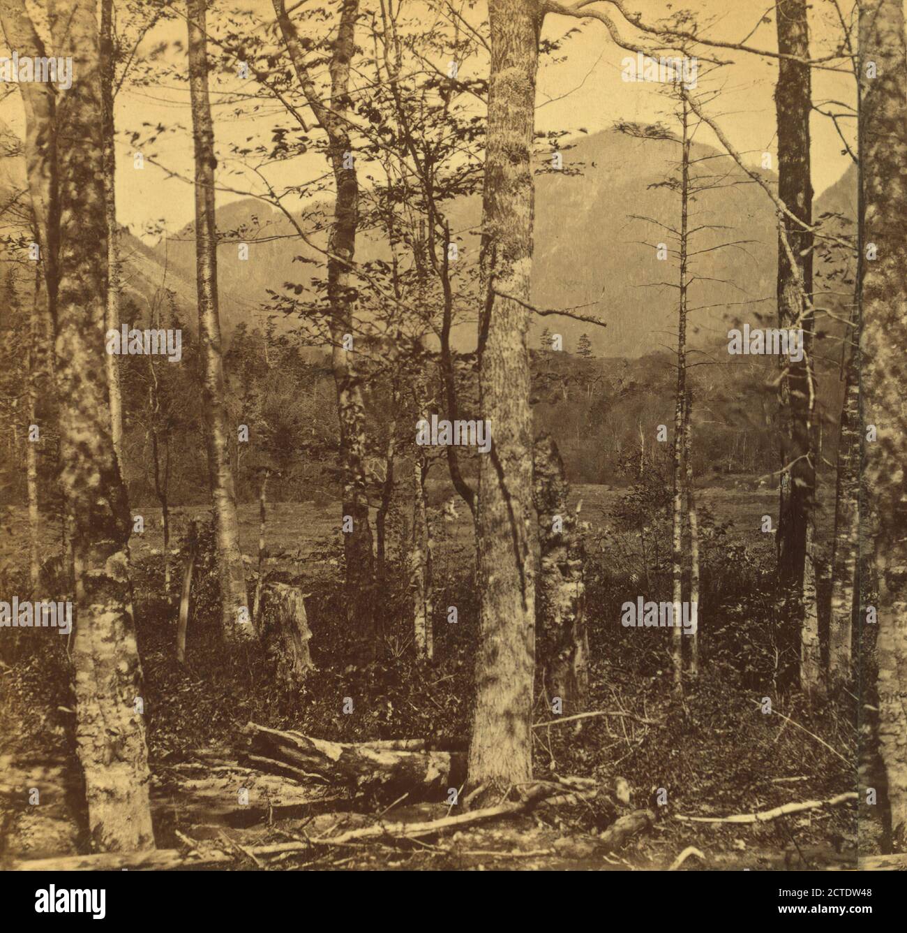 Fifield house hi-res stock photography and images - Alamy