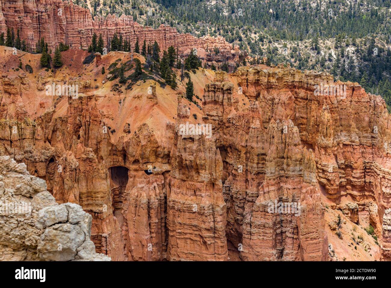 Rainbow Point Overlook in Bryce Canyon National Park, Utah Stock Photo ...