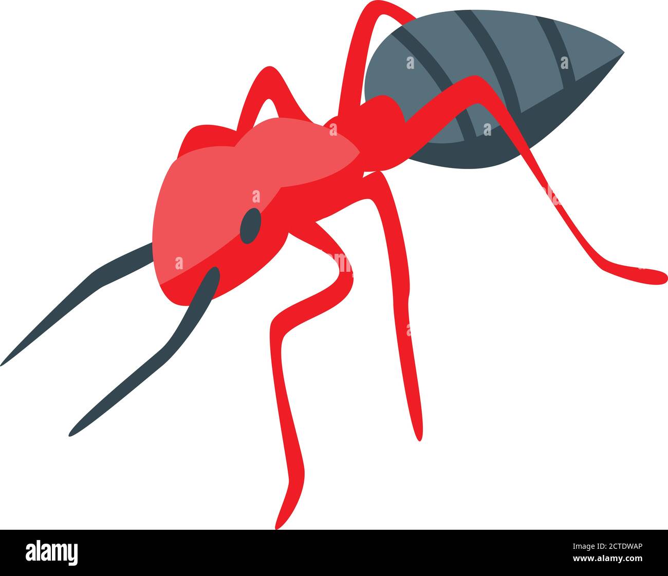 Queen ant Stock Vector Images - Alamy