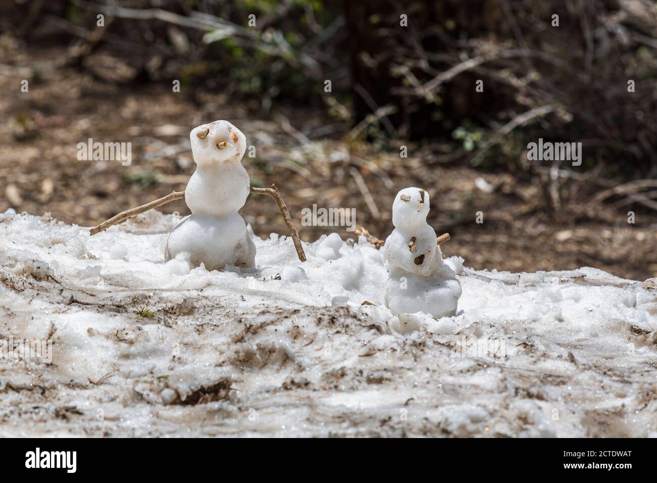 Tiny snowman in melting snow Stock Photo - Alamy