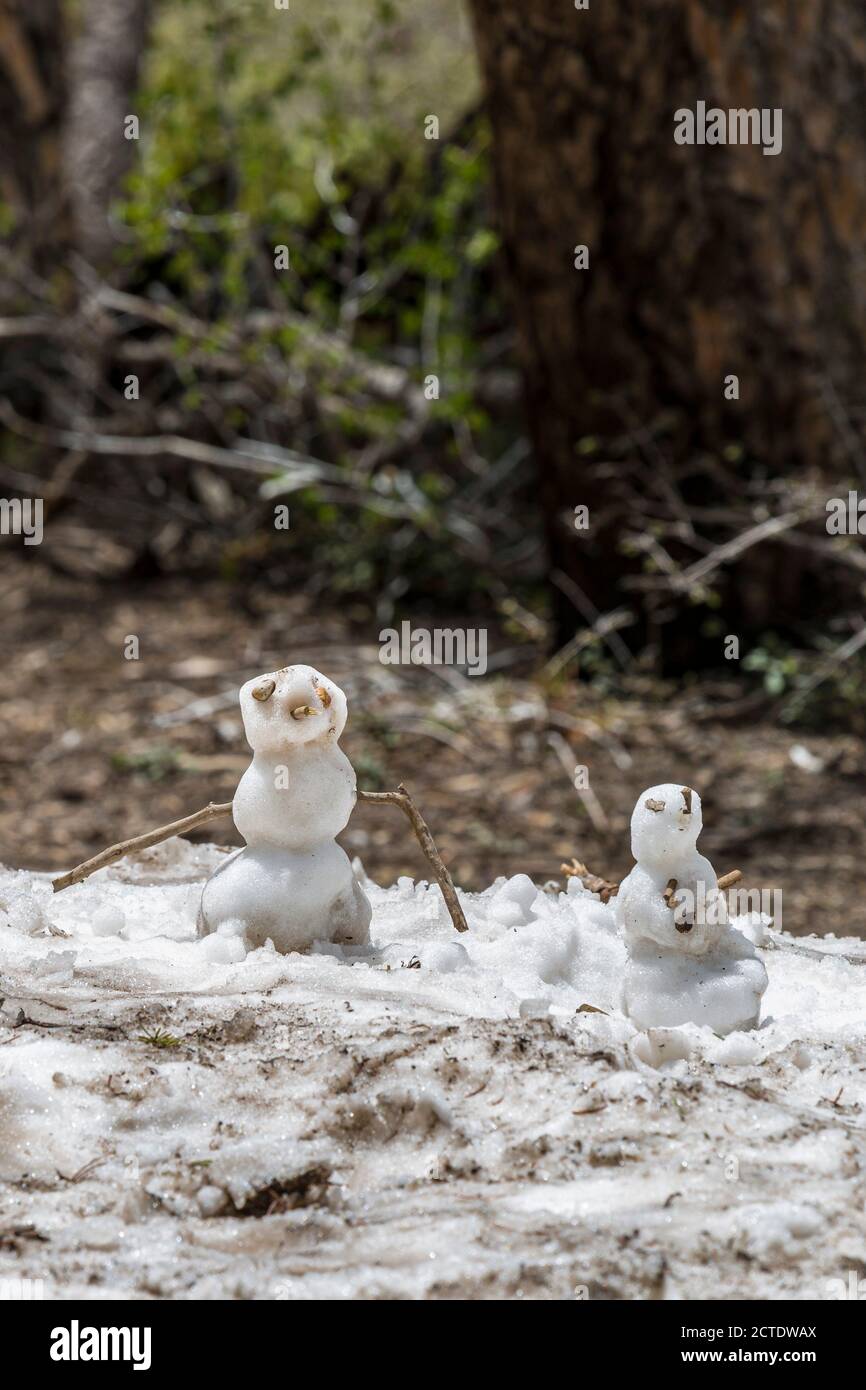 Tiny snowman in melting snow Stock Photo - Alamy