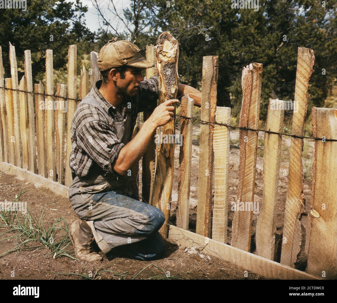 Farmer repairing fence which he built with slabs in a small town in New ...
