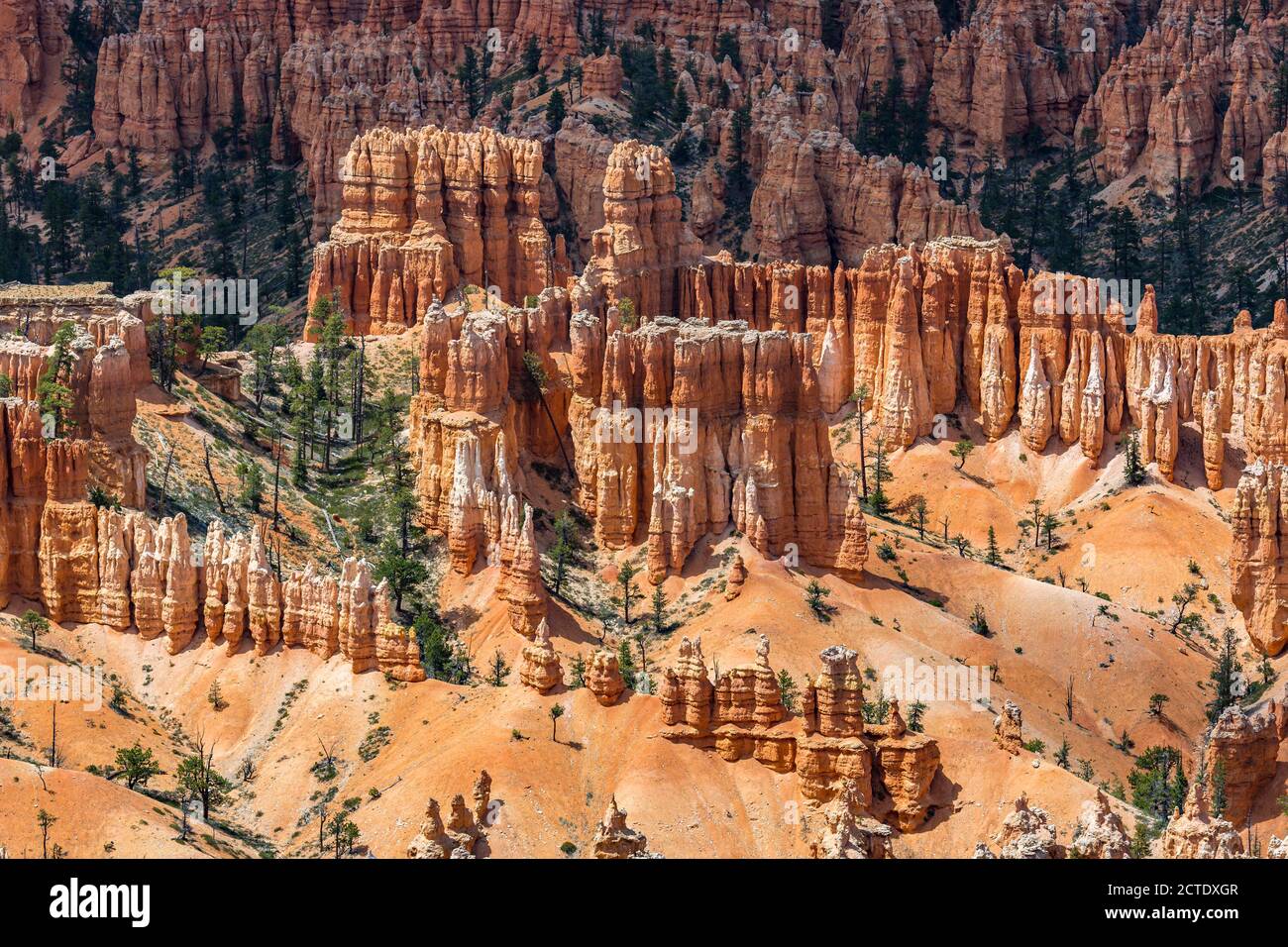 Brice Point Overlook in Bryce Canyon National Park, Utah Stock Photo ...