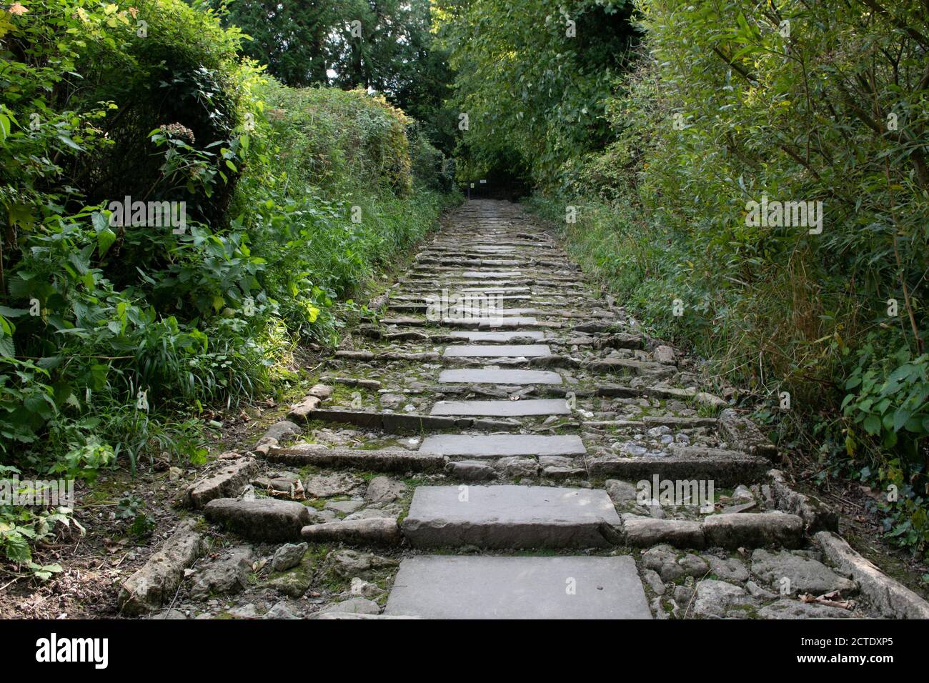 Bratton stone hi-res stock photography and images - Alamy