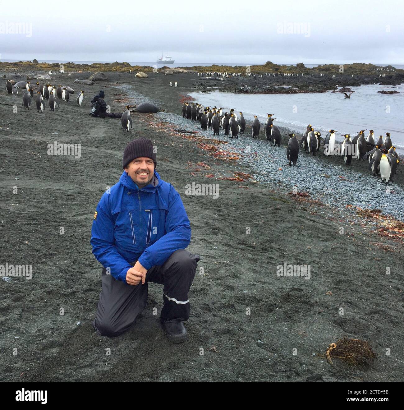 king penguin (Aptenodytes patagonicus), Wildlife photographer on ...