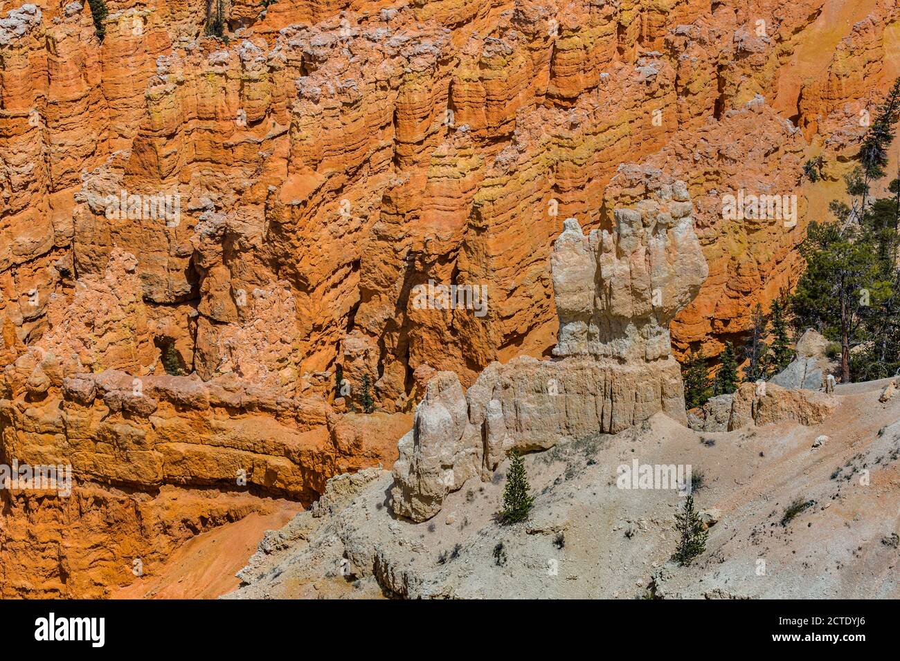 Brice Point Overlook in Bryce Canyon National Park, Utah Stock Photo ...