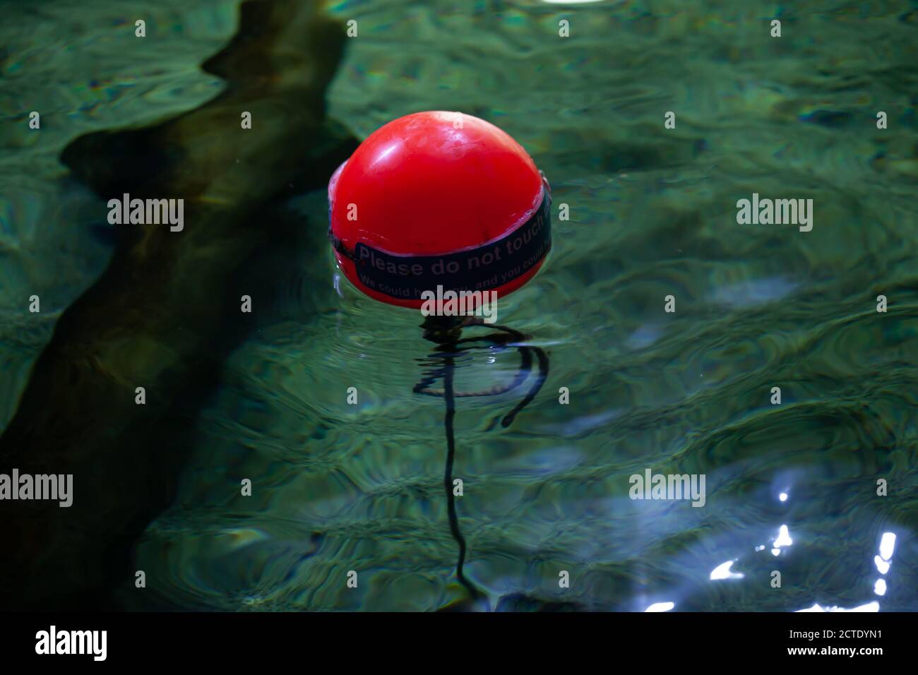 Colourful Red Buoy fixed with Hazard Warning Message floating in the ...