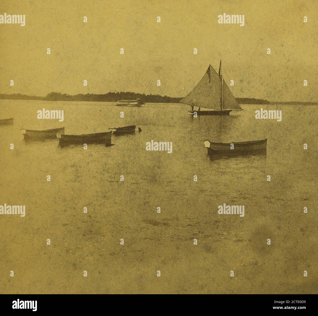 View of boats on the lake., Tourism, Minnesota, Minnetonka, Lake (Minn ...