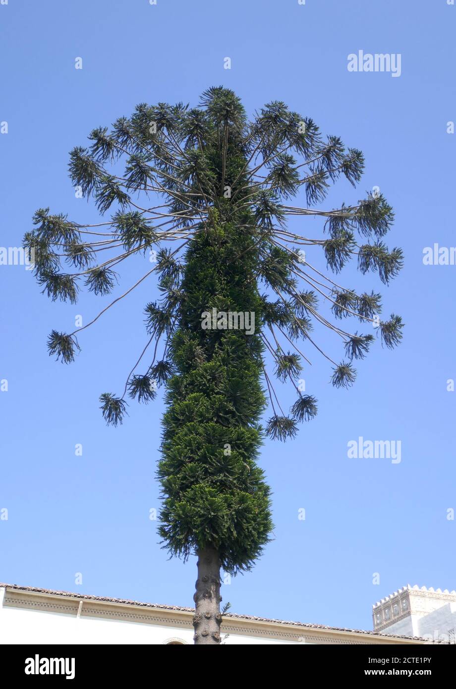 Los Angeles, California, USA 21st September 2020 A general view of ...