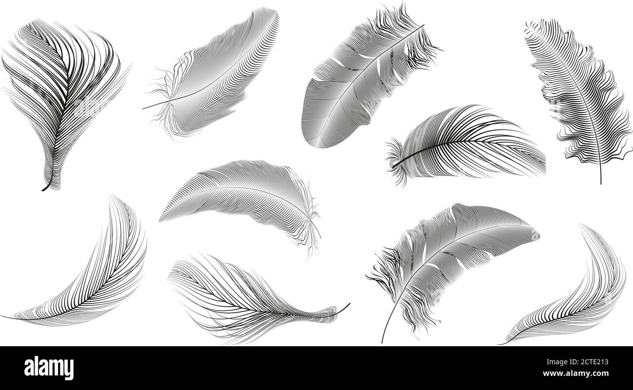 Vector gold,pink ,silver feathers collection set on a white background ...