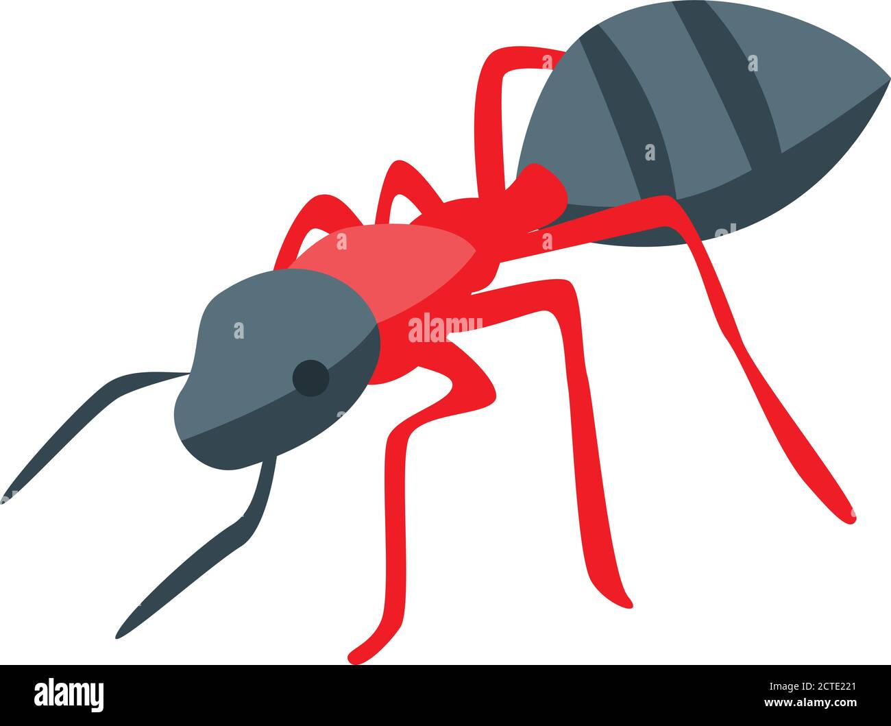 Anthill grass Cut Out Stock Images & Pictures - Alamy