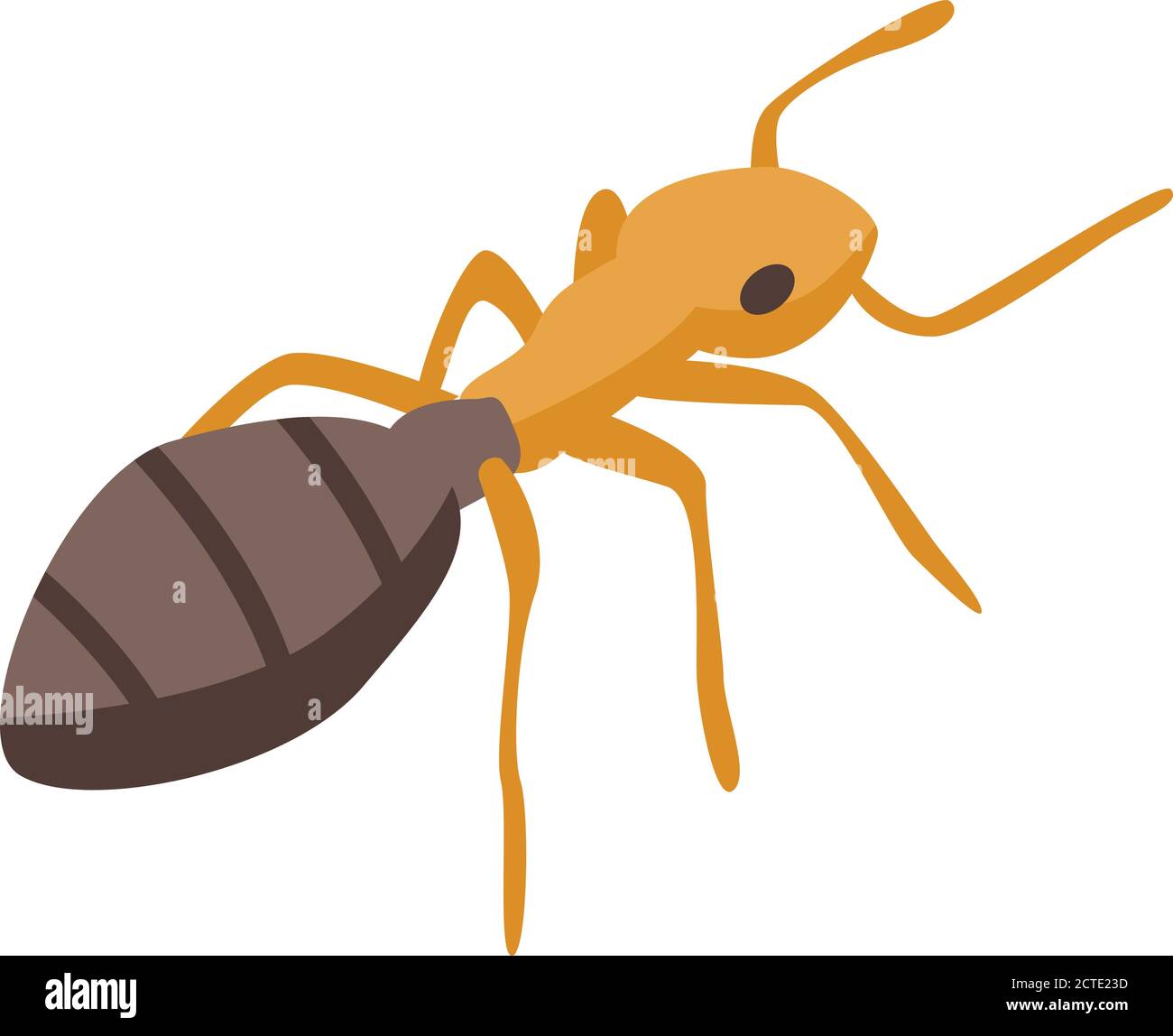 Insect ant icon, isometric style Stock Vector Image & Art - Alamy