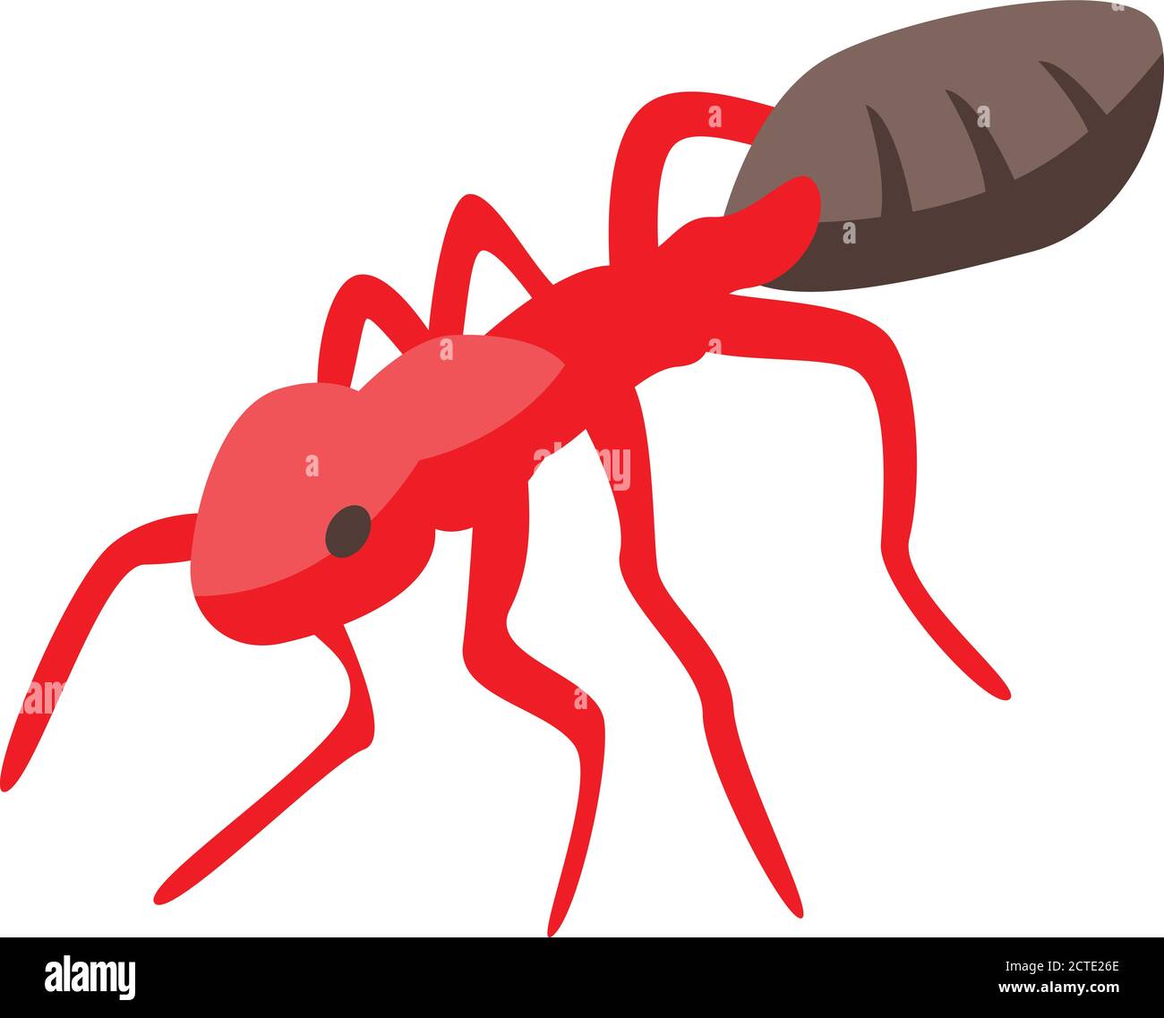 Little fire ant Cut Out Stock Images & Pictures - Alamy