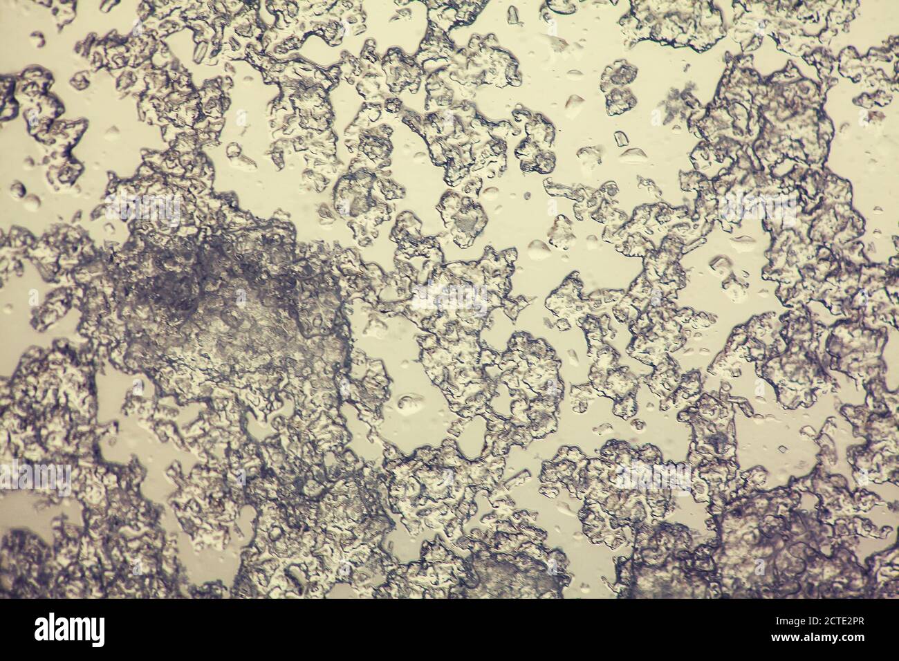 Cold and icy glass surface Stock Photo - Alamy