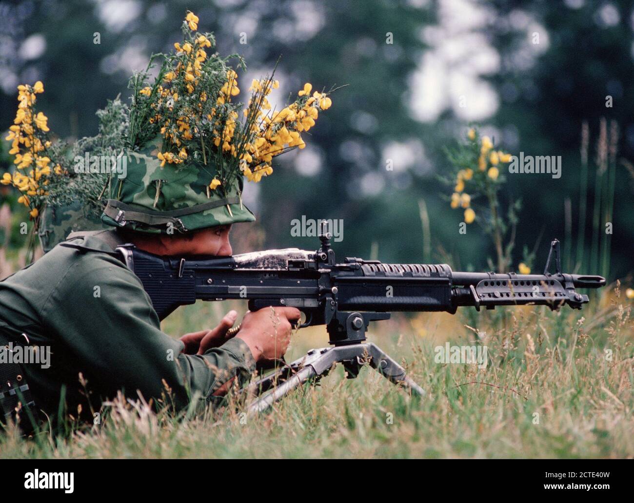 M60 machine gun hi-res stock photography and images - Alamy