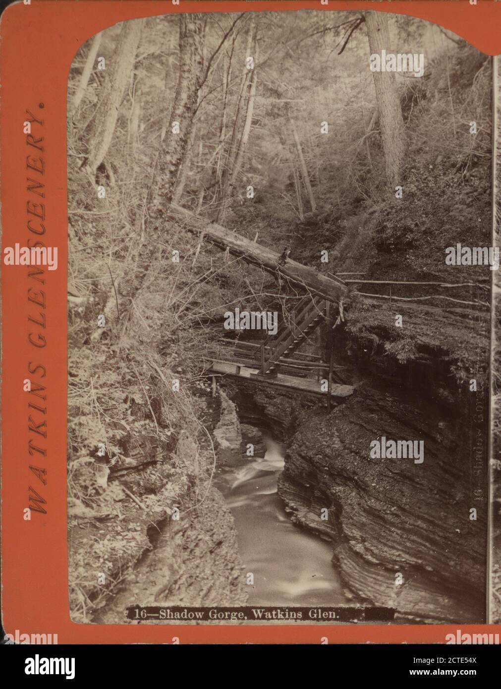Shadow gorge, Watkins Glen., Jones, W. S., photographer, New York ...