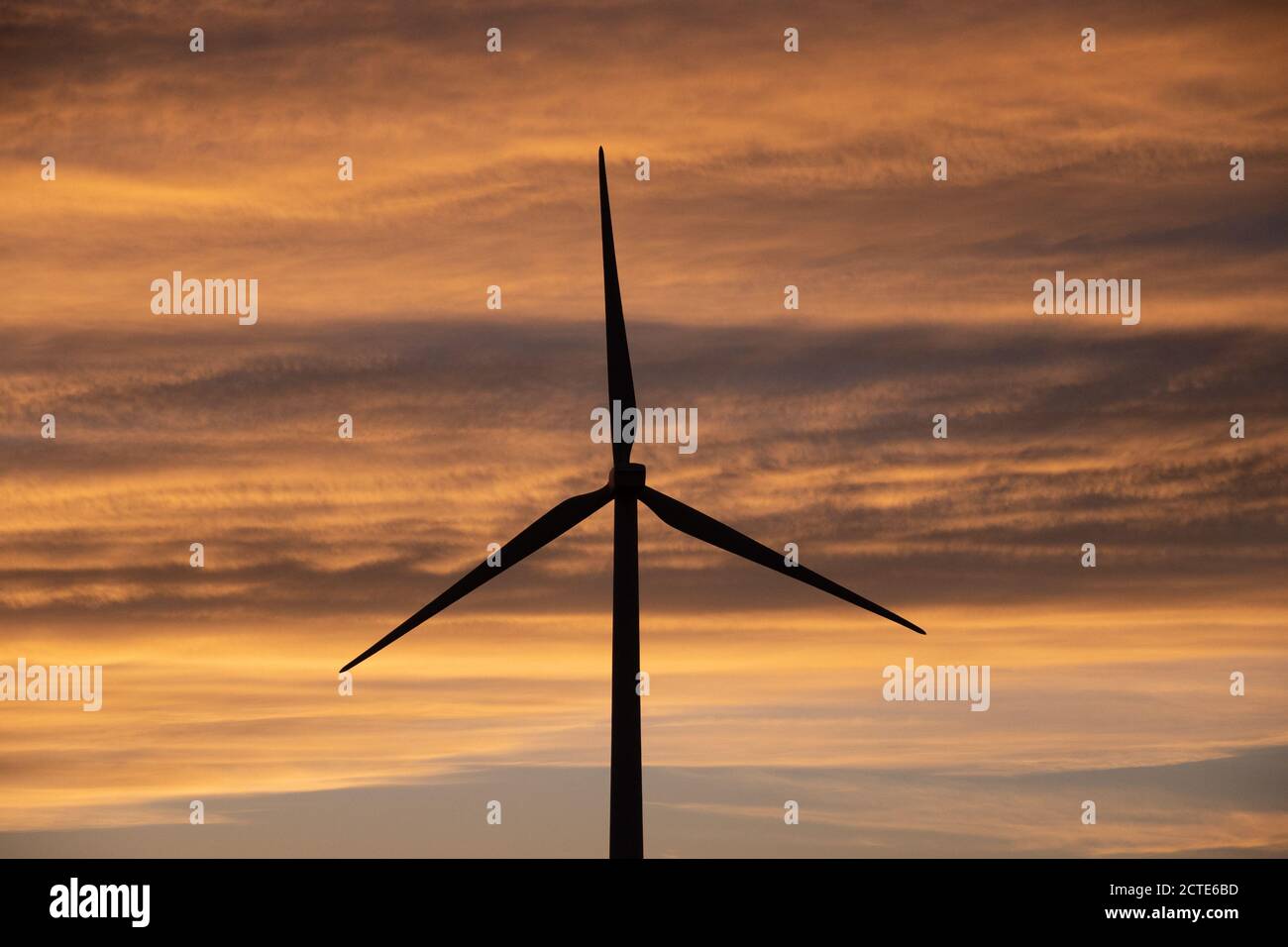 The sun sets on a field of wind turbines at a wind farm in Indiana ...