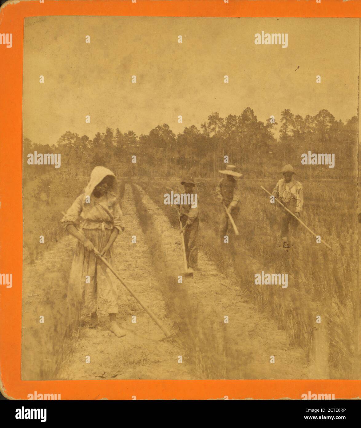 Hoeing hi-res stock photography and images - Alamy