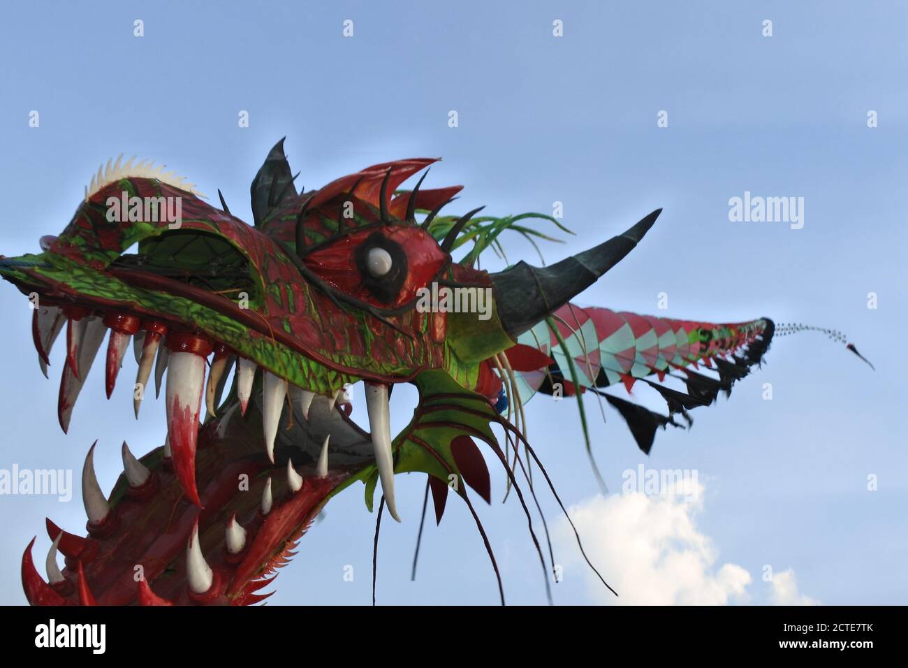 Dragon Head Close Up