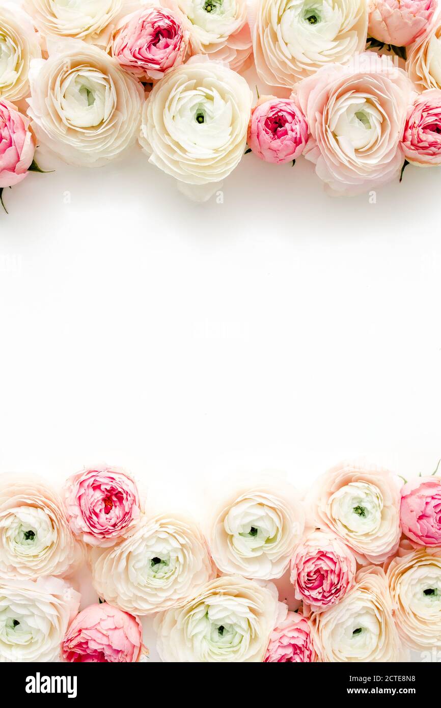 Floral frame borders made of pink ranunculus and roses flower buds on ...