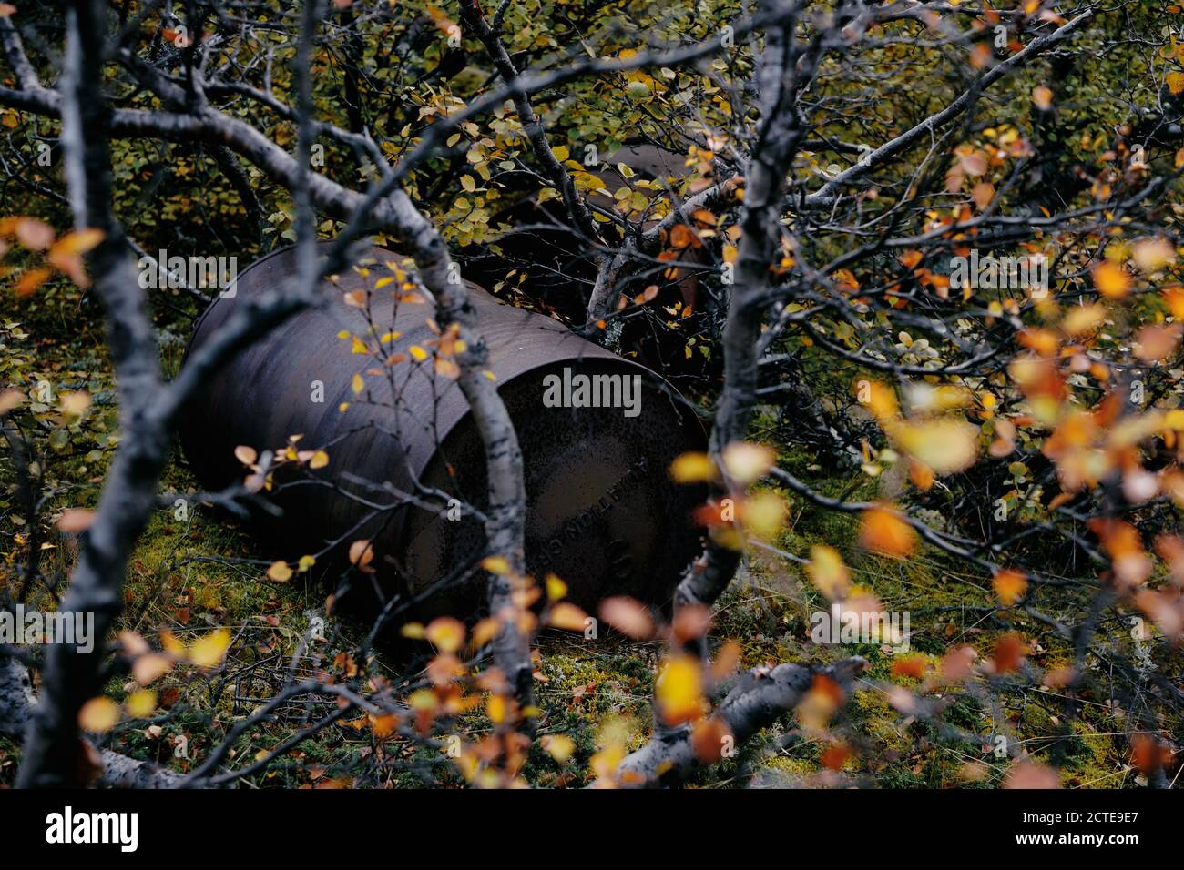 the uncovered an old rusty and leaky barrel of oil at the forest Stock ...