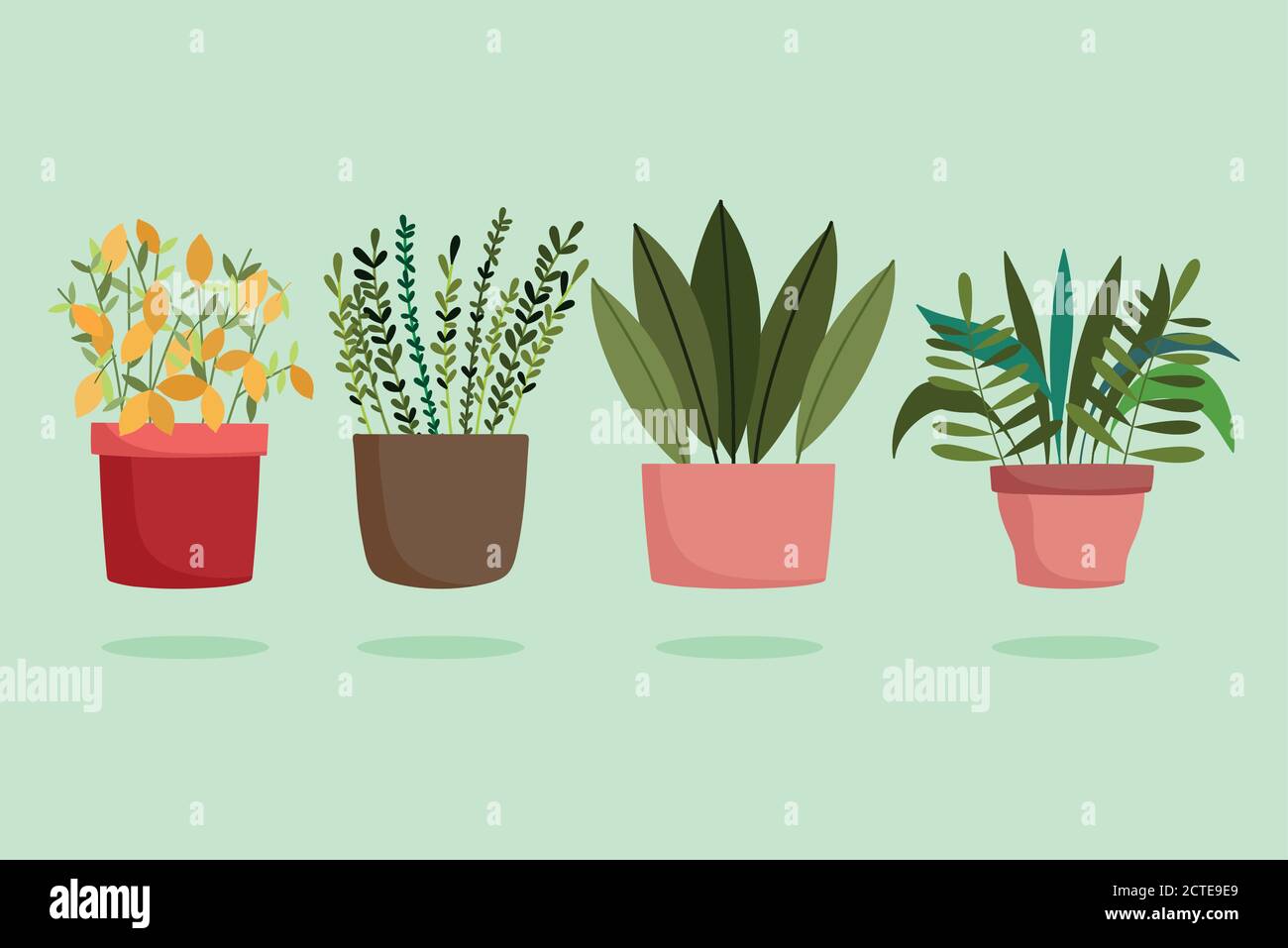 gardening, different houseplants in pots decoration vector illustration ...