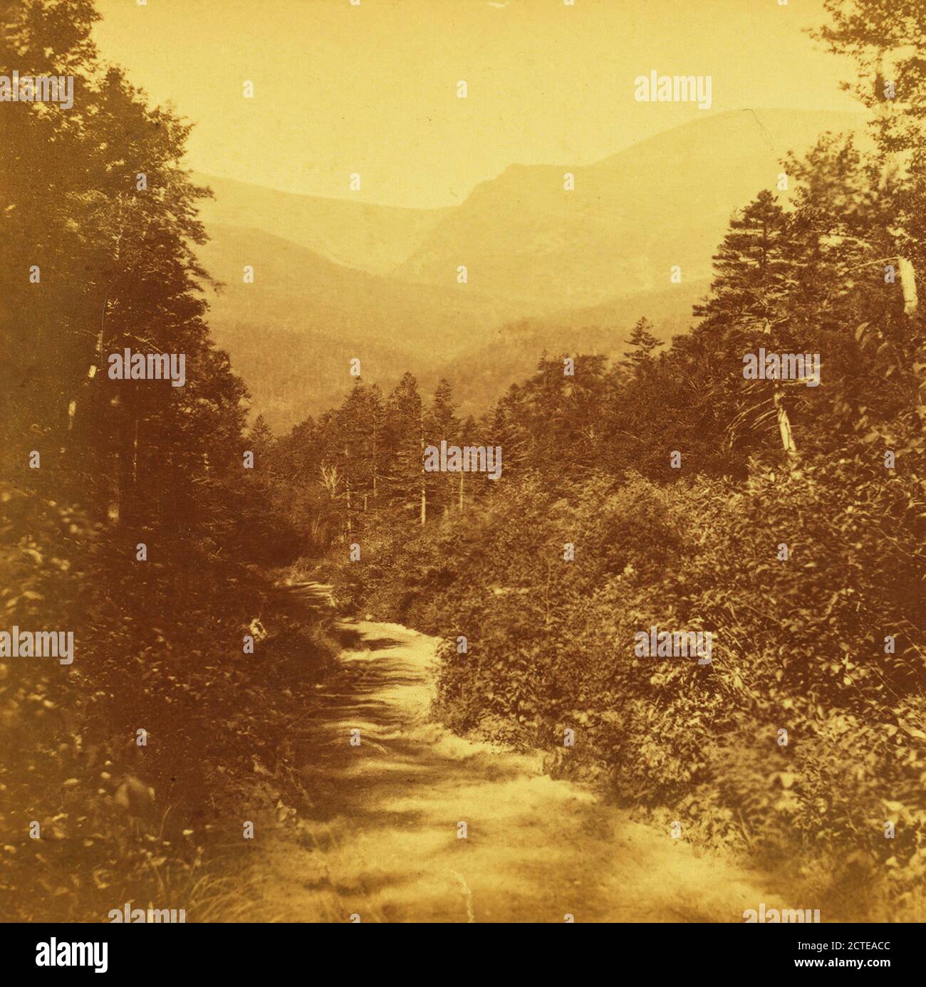 Tuckermans ravine hi-res stock photography and images - Alamy