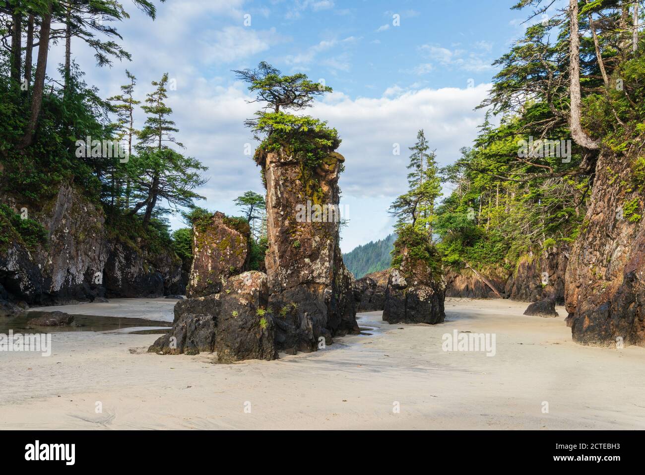 Cape scott hi-res stock photography and images - Alamy