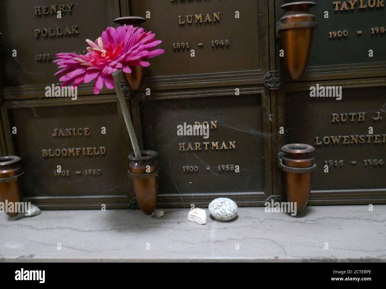 Los Angeles, California, USA 21st September 2020 A general view of ...
