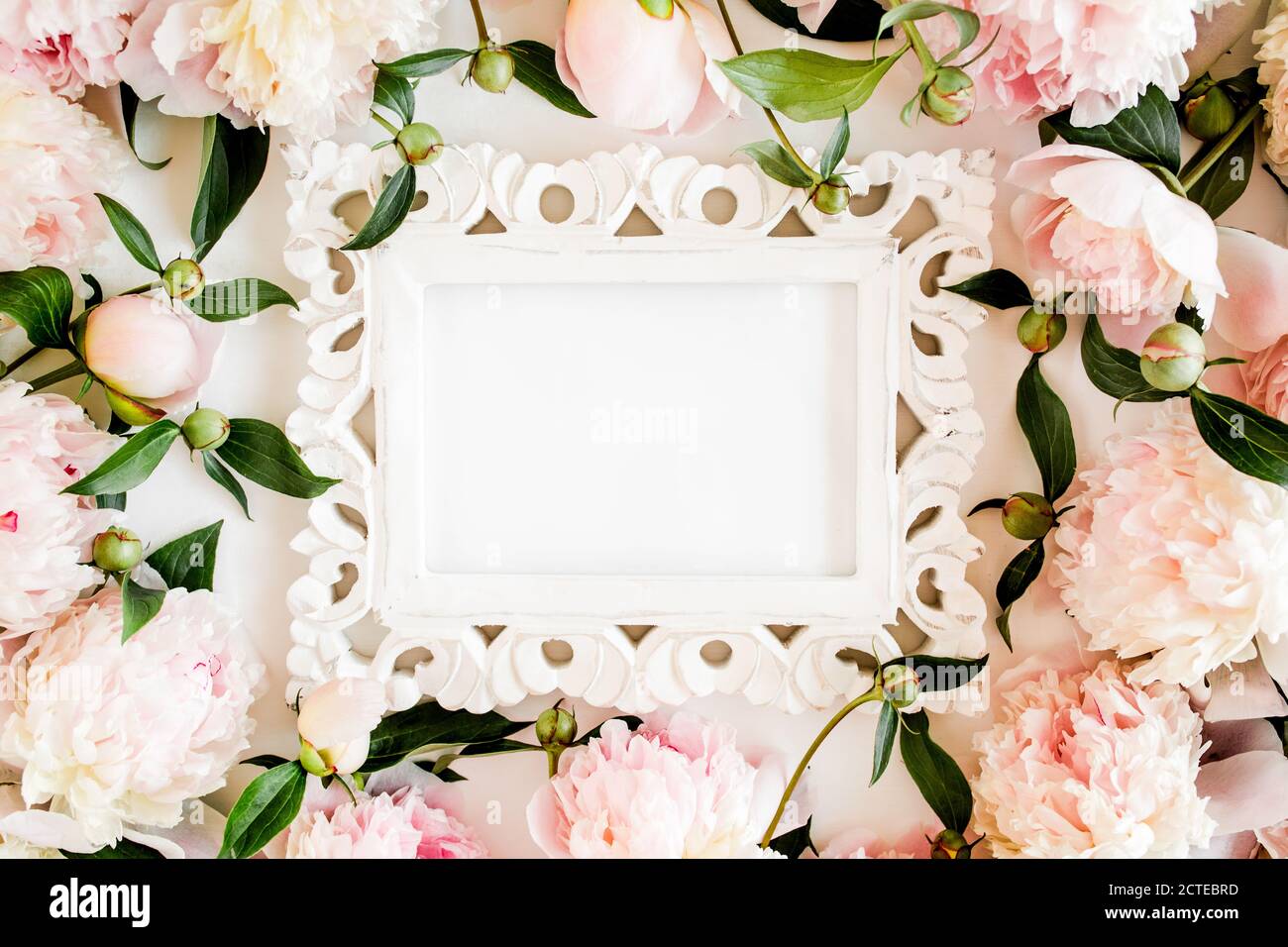 Carved, white frame decorated of beautiful pink peonies on white ...