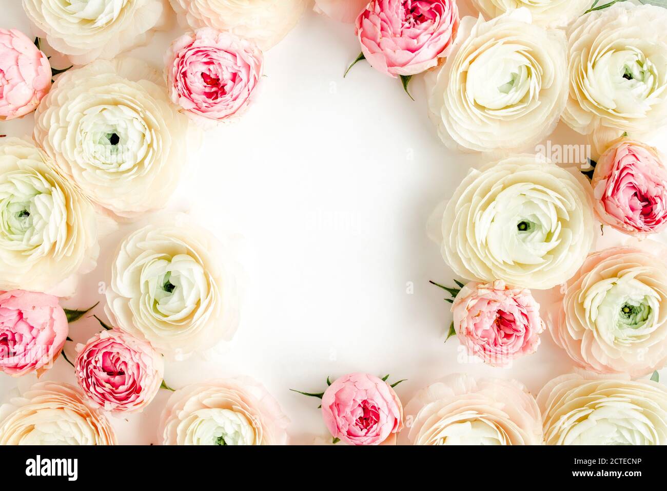 Floral frame borders made of pink ranunculus and roses flower buds on ...