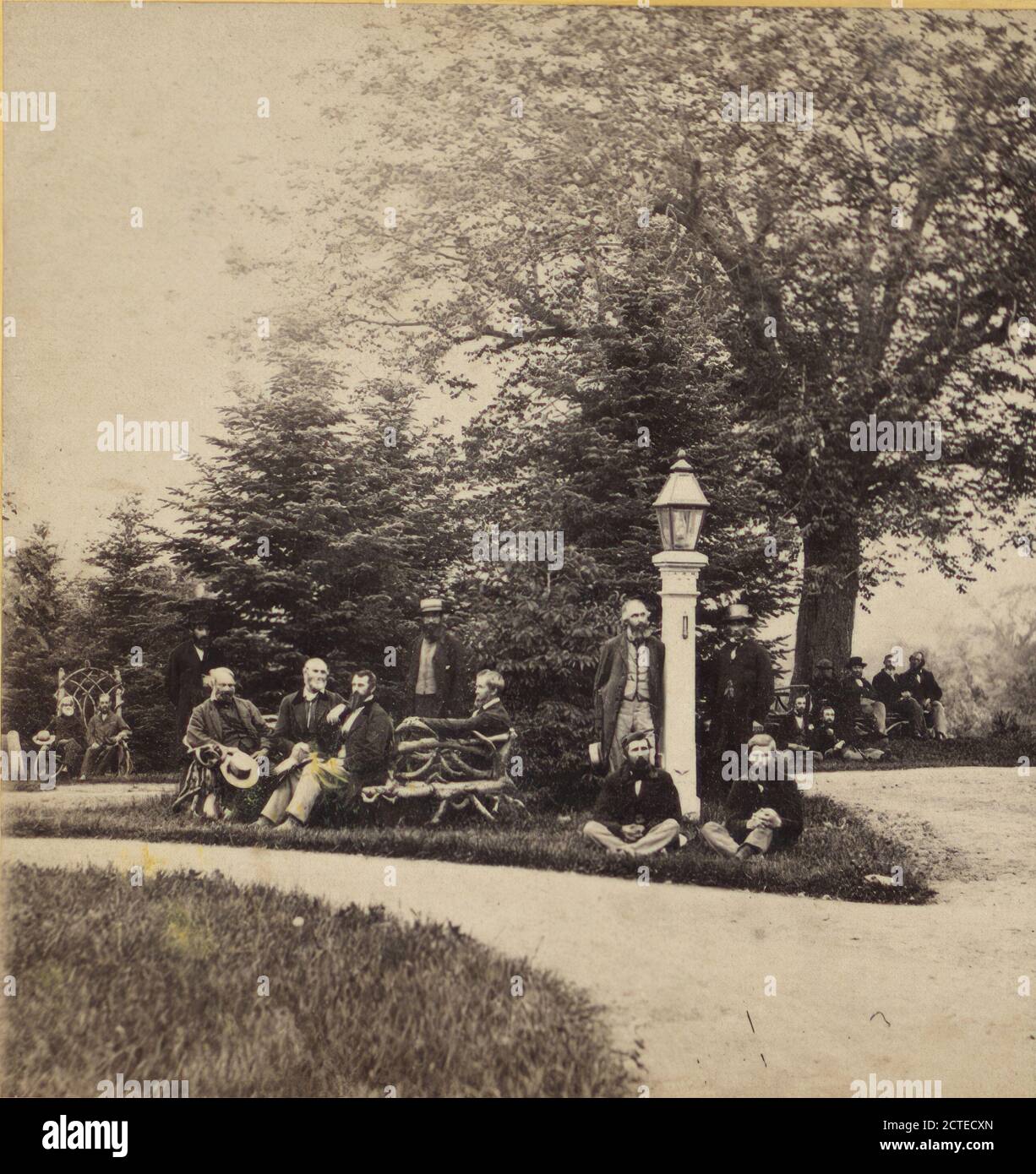 Butternut tree hi-res stock photography and images - Alamy