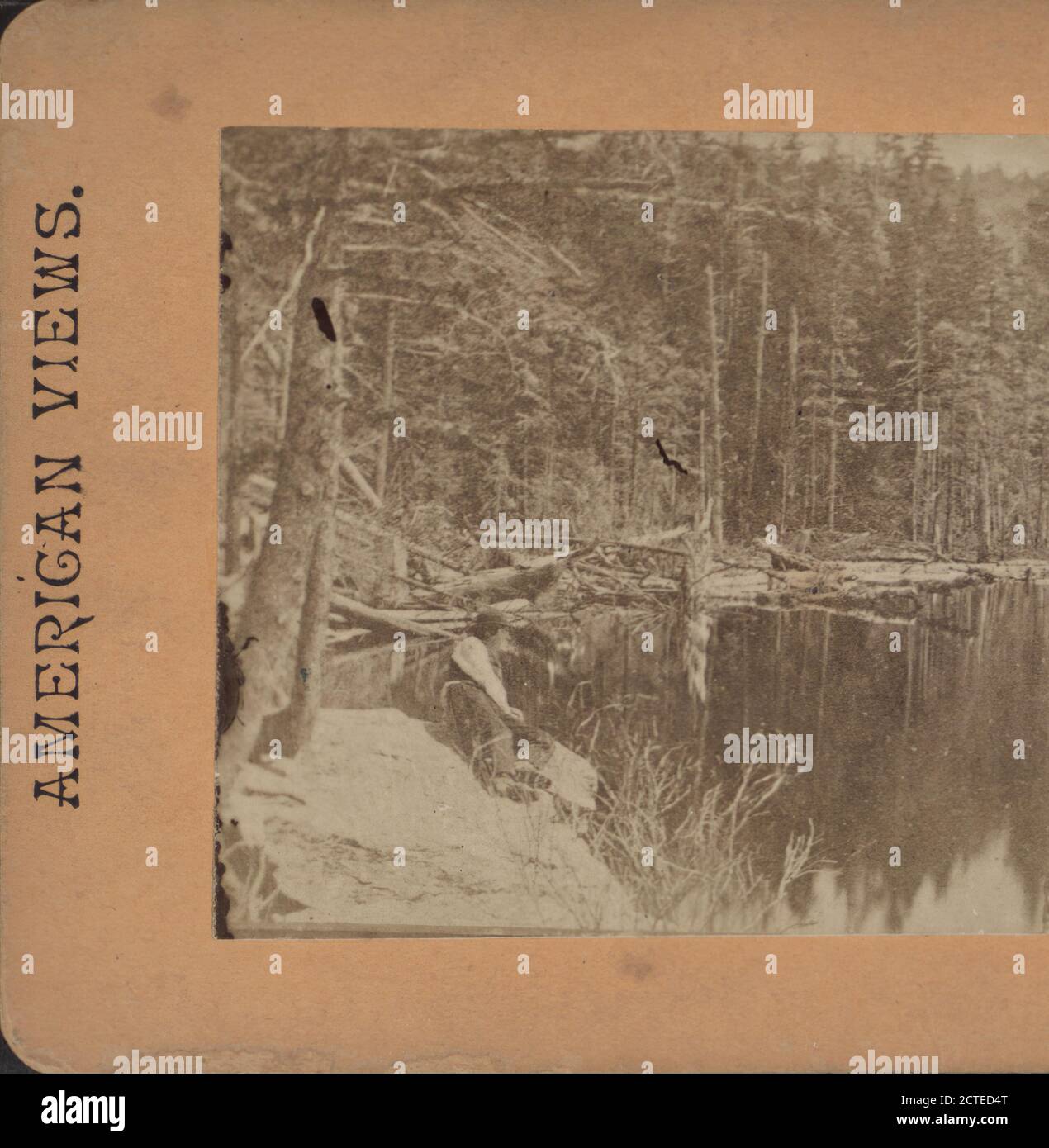 South Lake, Catskill Mountains., Lakes & ponds, Coastlines, Forests ...