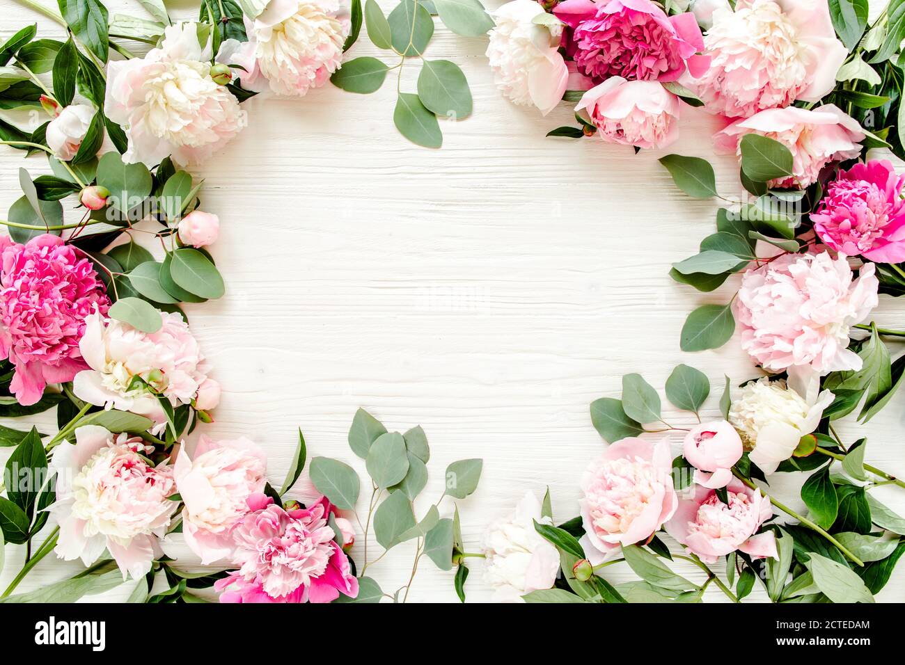 frame made of beautiful pink peonies on white background. Flat lay, top ...