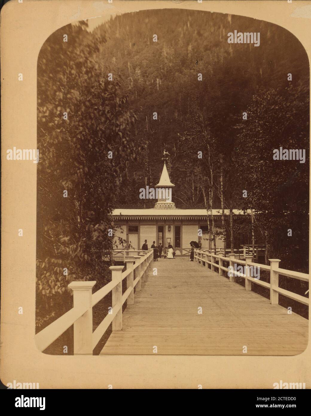 Depot, Profile House., G. H. Aldrich & Co., Canyons, Mountains ...