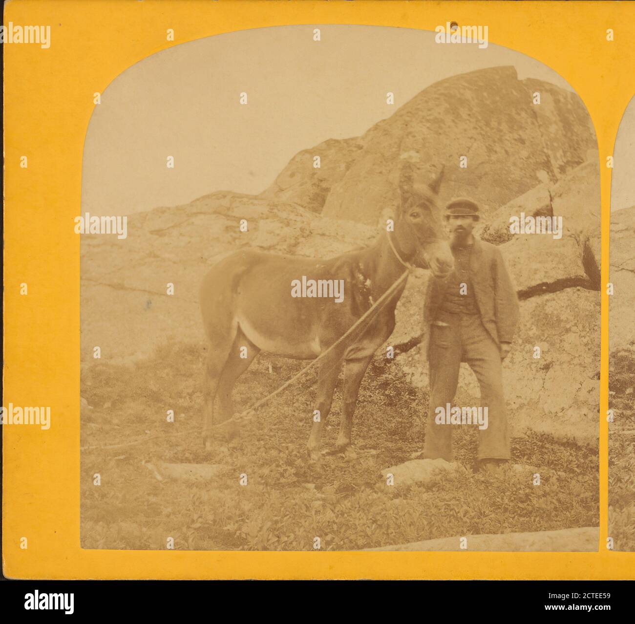 Fellow feeling makes us wonderous kind hi-res stock photography and ...