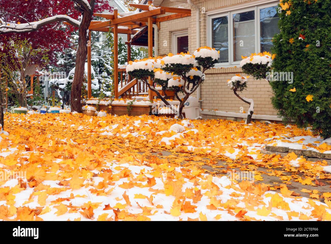 The first snow hi-res stock photography and images - Alamy