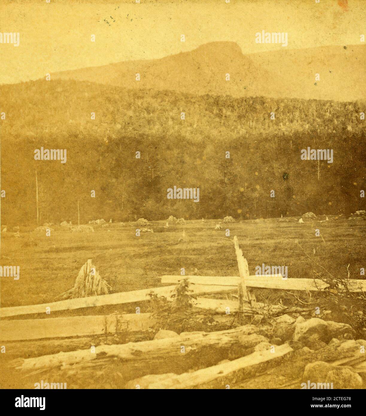 Imp Mountain, near the Glen, White Mountains, N.H., Bierstadt Brothers ...