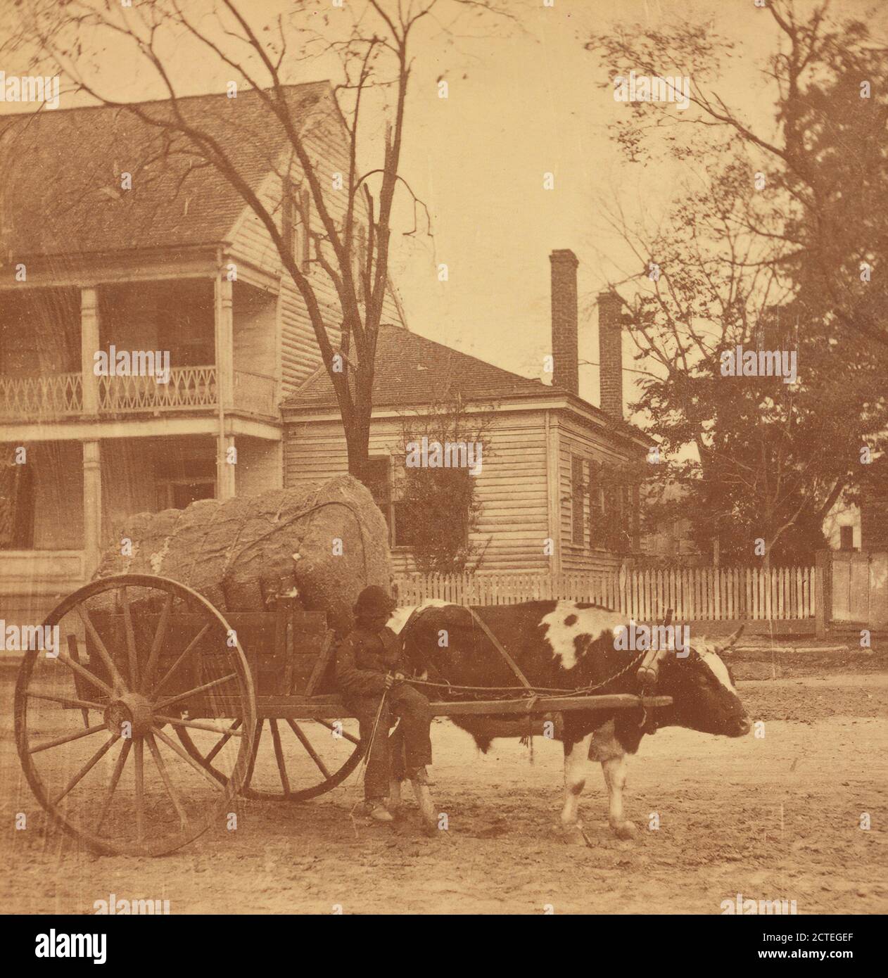 Cotton Cart High Resolution Stock Photography and Images - Alamy