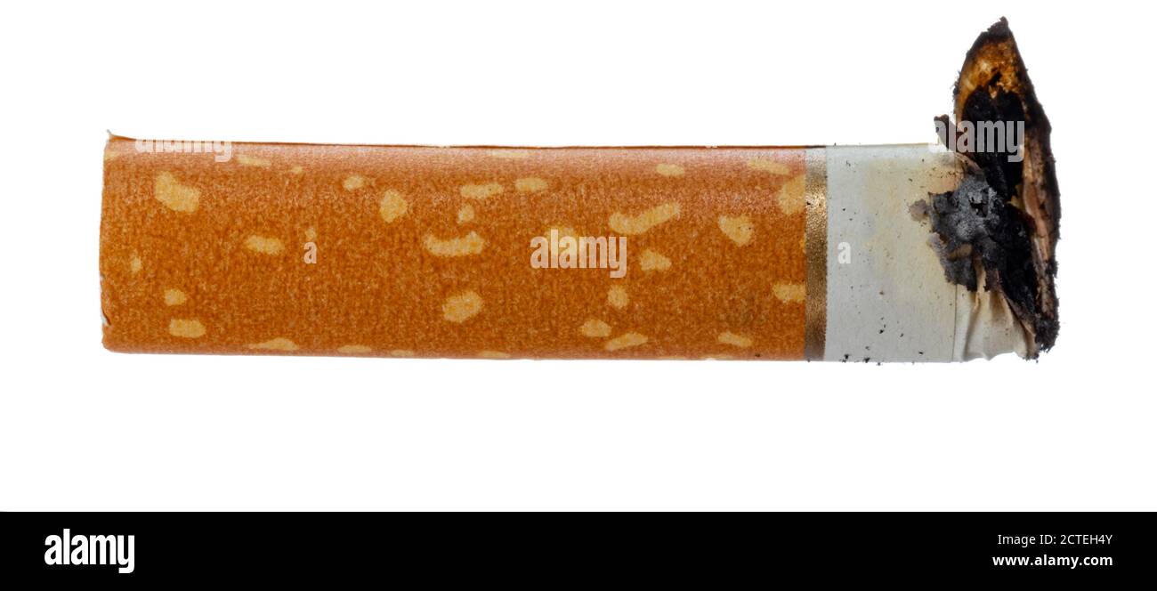 Extinguished cigarette butt isolated on white background Stock Photo ...