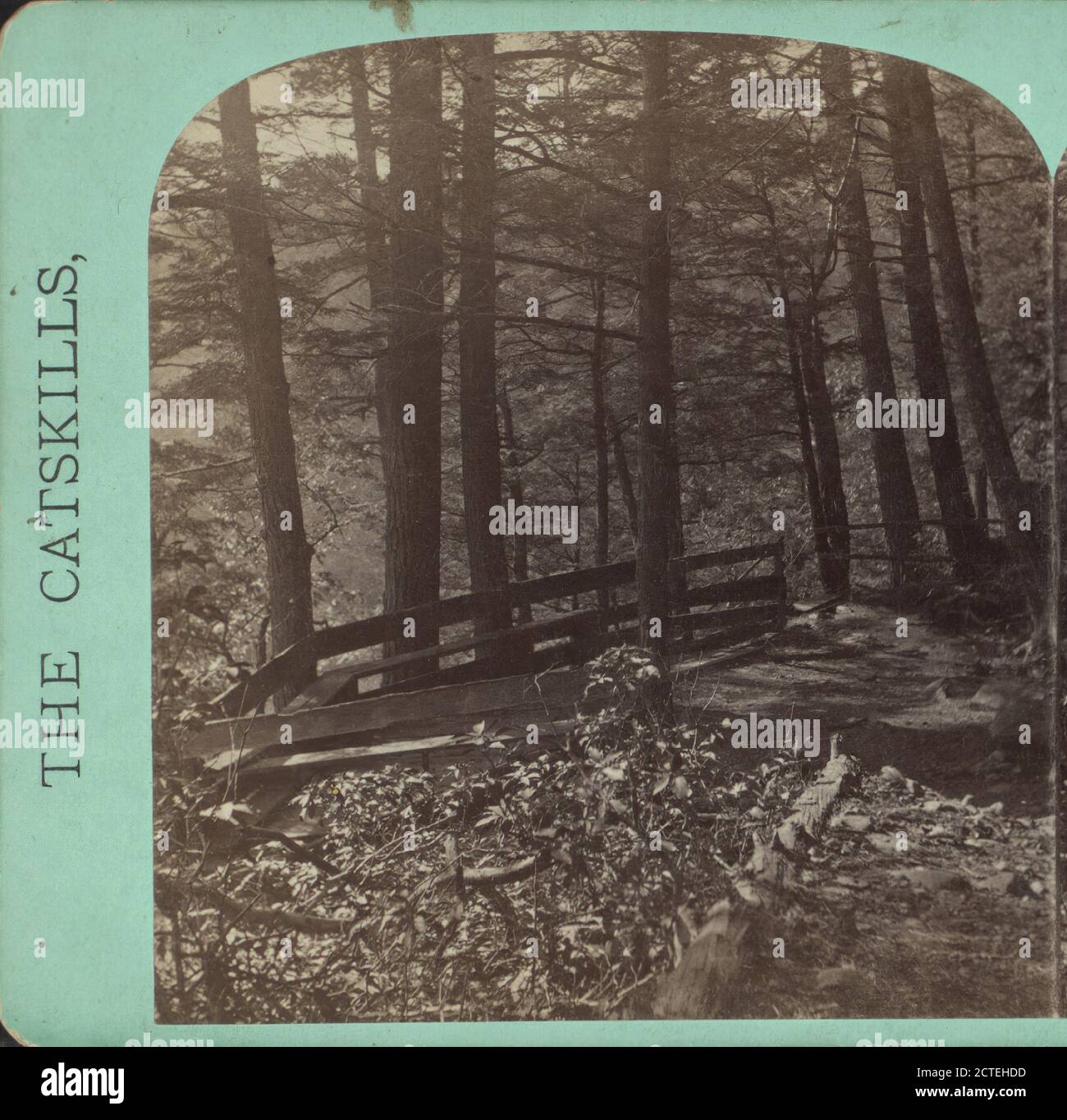 New n platform hi-res stock photography and images - Alamy