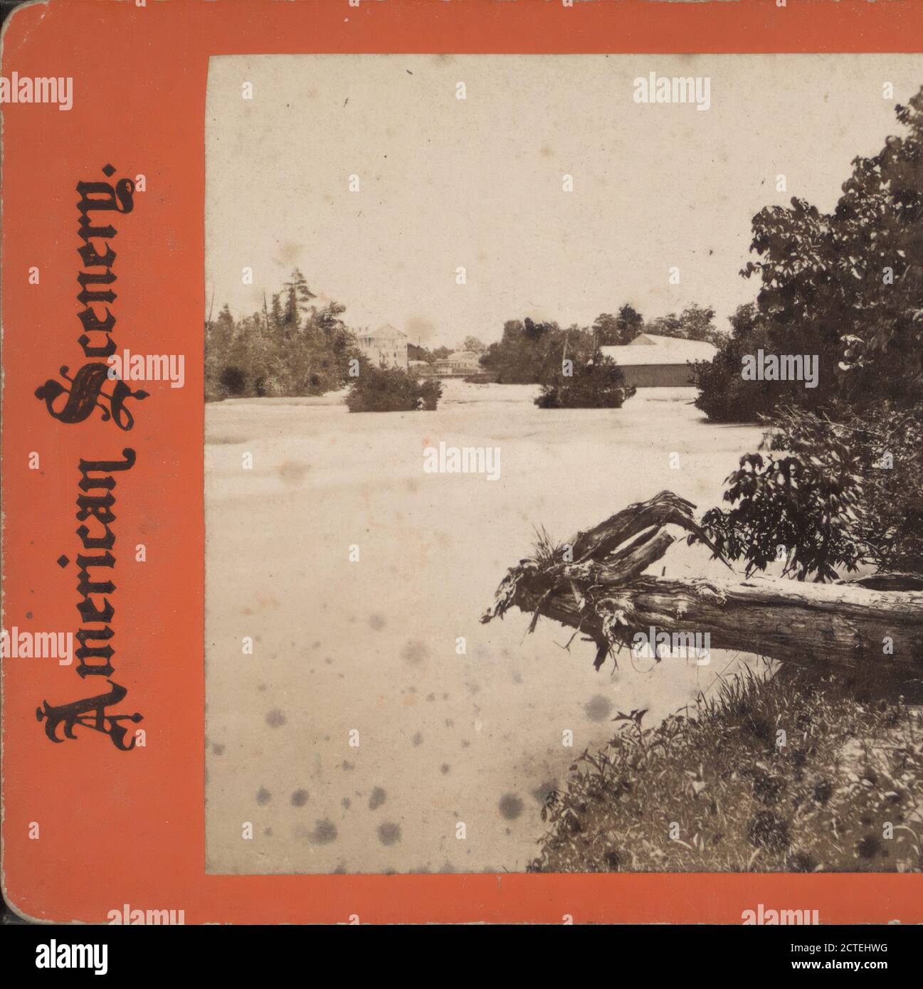 Niagara falls fallen tree hi-res stock photography and images - Alamy