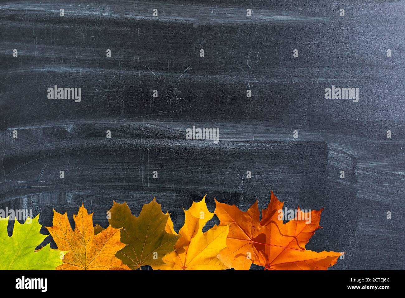Autumn background with fall leaves. Black chalkboard in center with ...