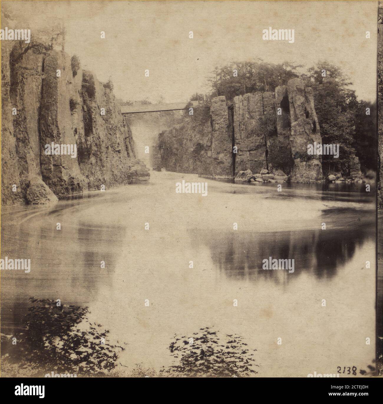 The Falls and Bridge across the Gully, from the Basin., E. & H.T ...