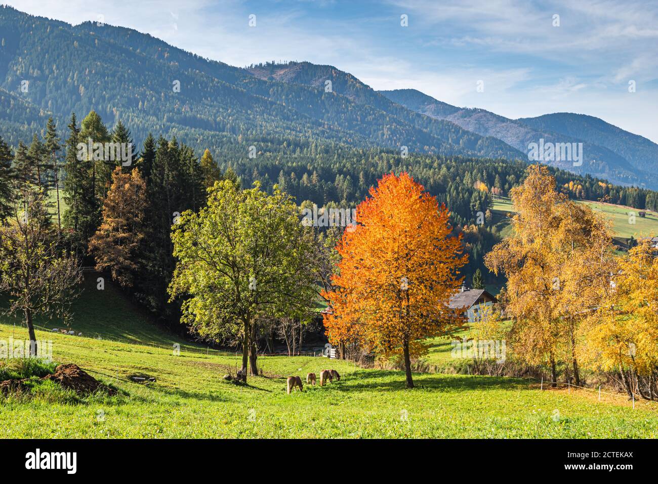 Landscape of early autumn in the village of Santa Magdalena in northern ...