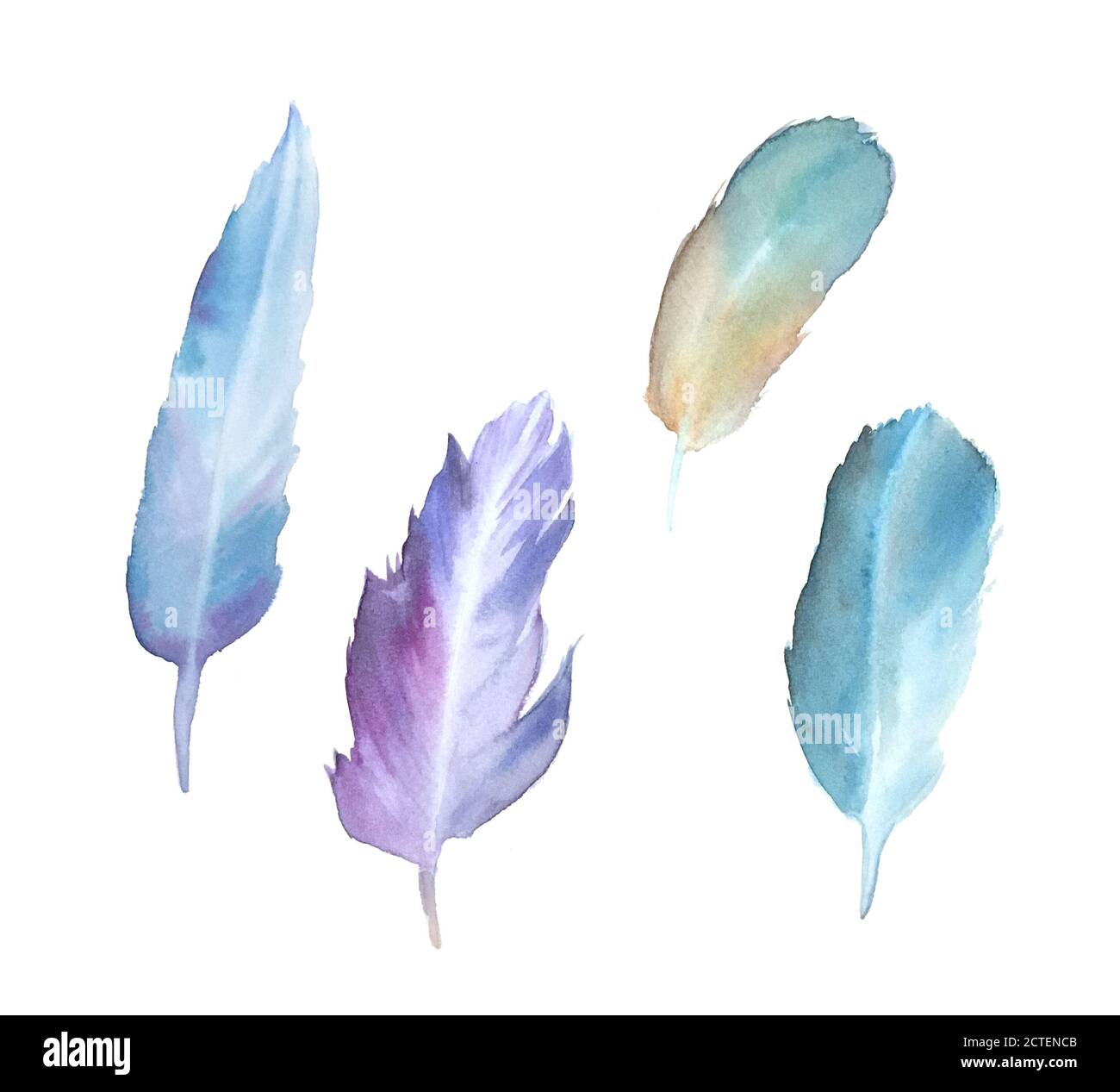 Set of colorful feathers watercolor illustration Stock Photo - Alamy