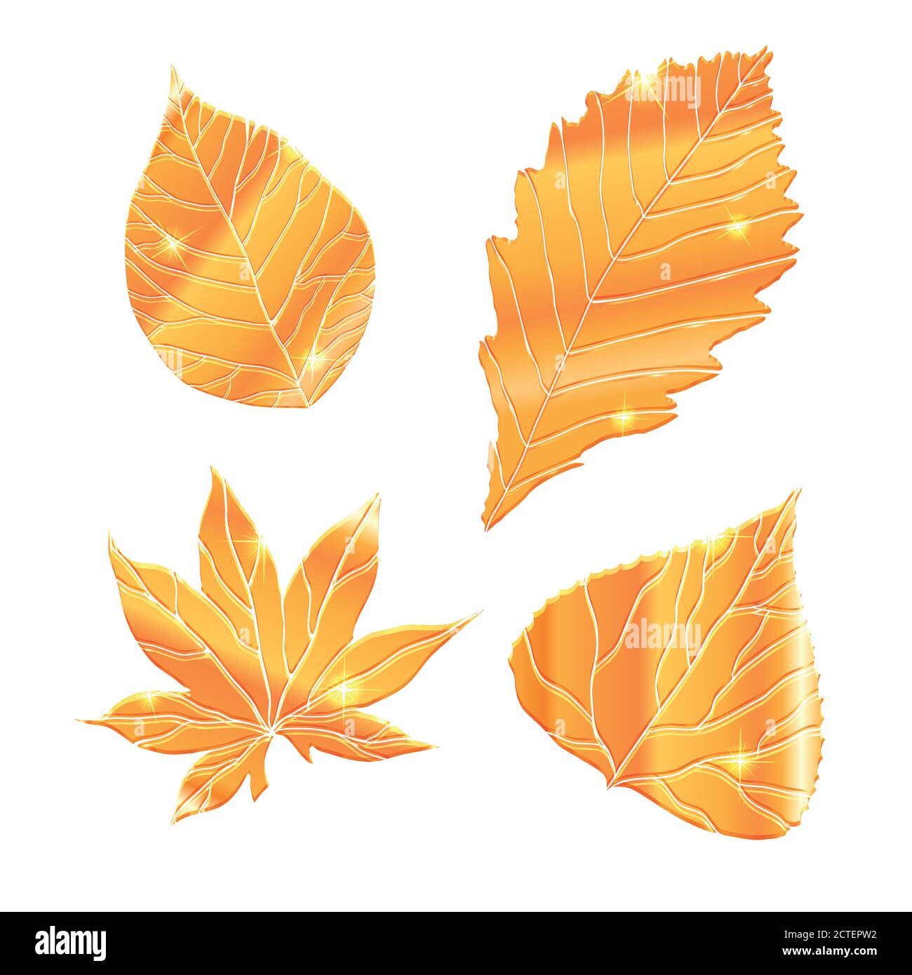 Gold elm Stock Vector Images - Alamy