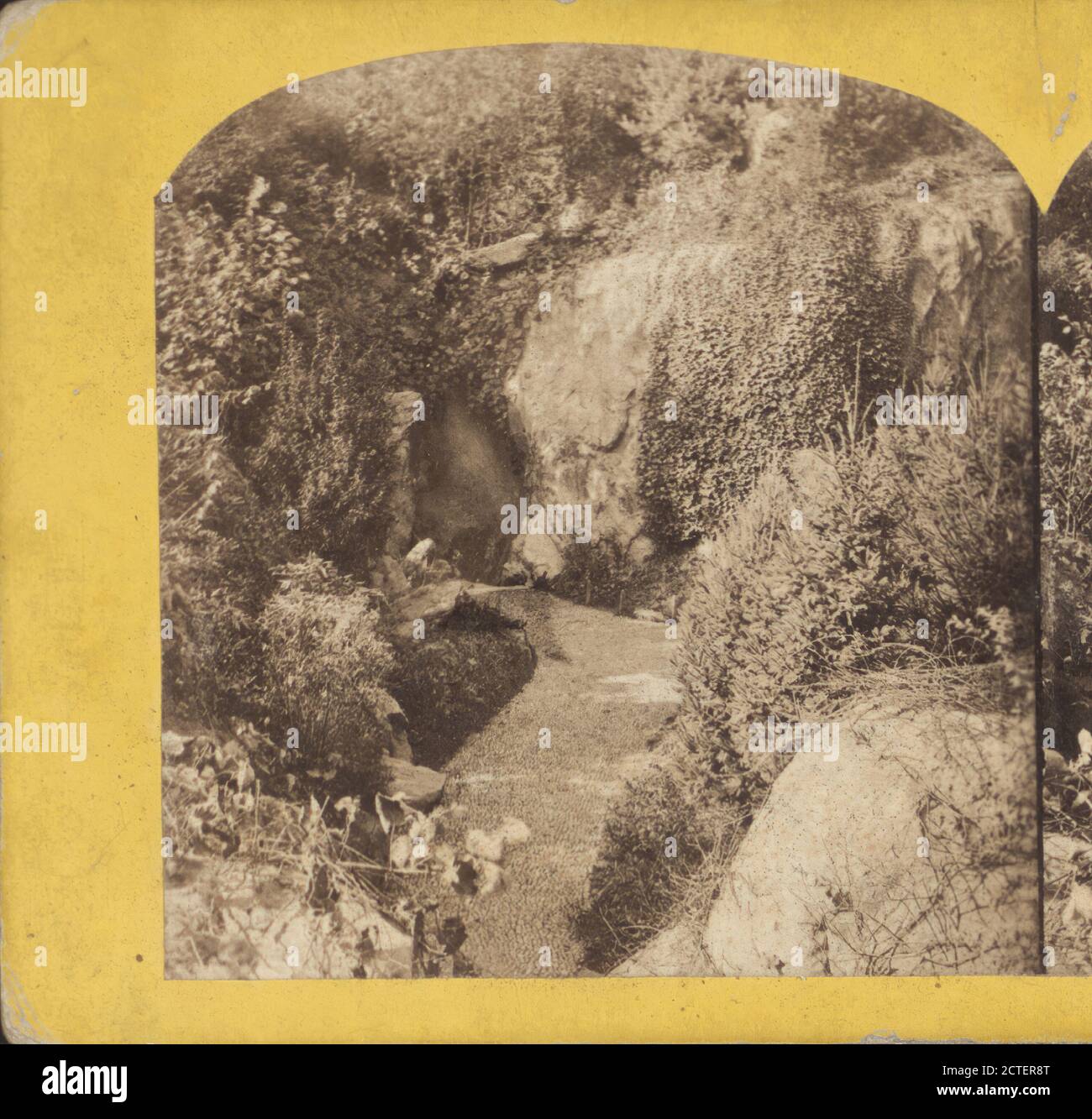 Central Park, in the Ramble., New York (State), New York (N.Y.), New ...